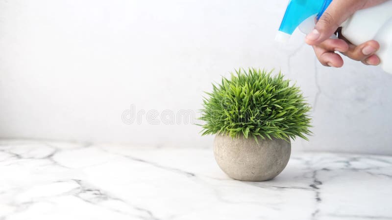 Hand Holding Spray Bottle Watering Plan on Table with Copy Space Stock ...