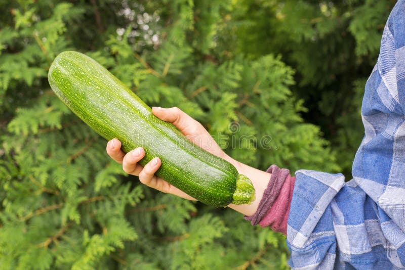Holding a squash racket stock photo. Image of finger - 33723898
