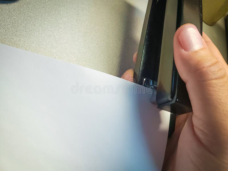 Stapling stock image. Image of productivity, closeup - 272134143
