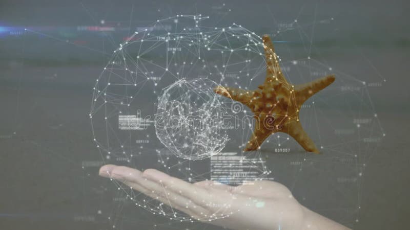 Hand Holding Starfish with Digital Network and Data Processing ...