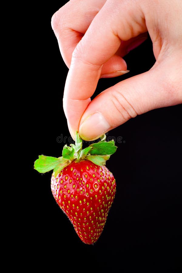 Hand holding a strawberry. stock image. Image of close - 13094433