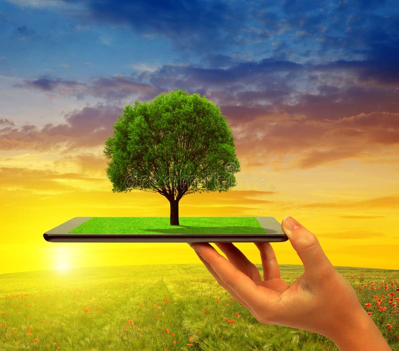 Hand Holding Tablet Computer with Tree Stock Photo - Image of sunset ...