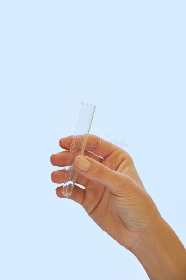 Hand holding test tube stock photo. Image of examine - 12846962