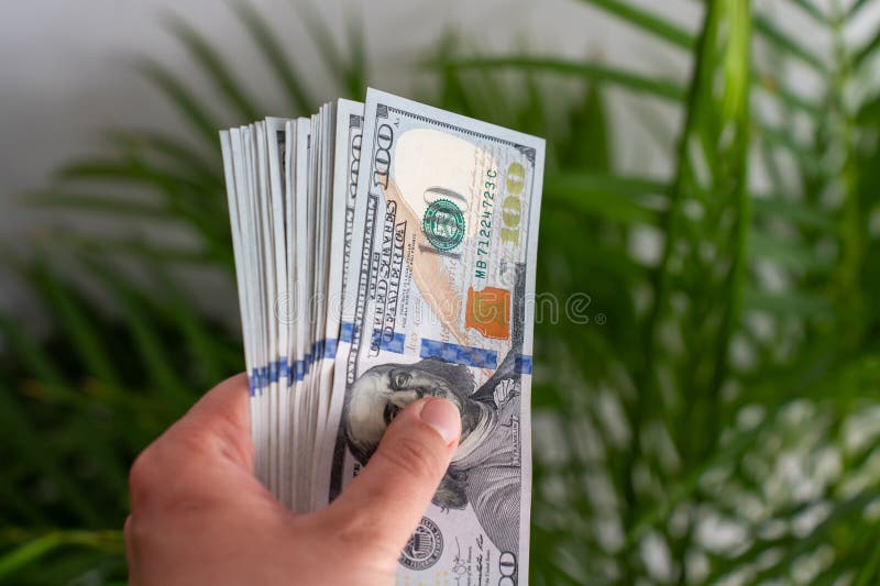 Hand Holding Thick Stack of Hundred Dollar Bills in Front of Green ...