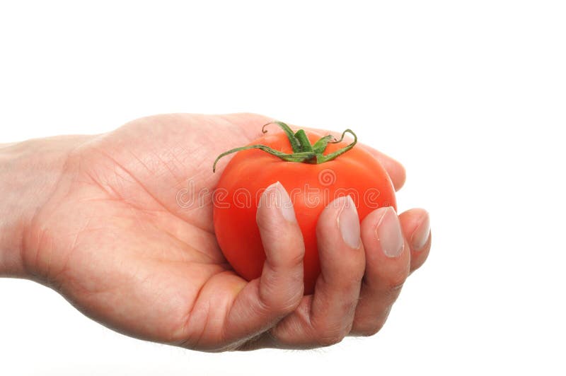 Hand holding tomato stock image. Image of fresh, give - 35016031