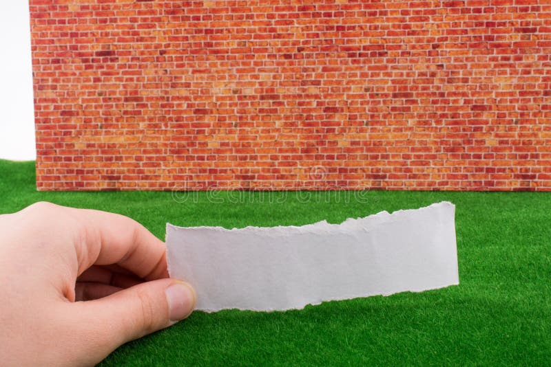 Hand holding torn paper stock photo. Image of green, grass - 69551946