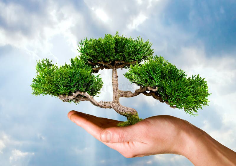 Hand Holding Tree Against Sky Stock Photo - Image of creative, natural ...