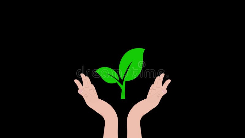 Hand Holding Tree Environment Animated Keeping Environment Tree Plants ...