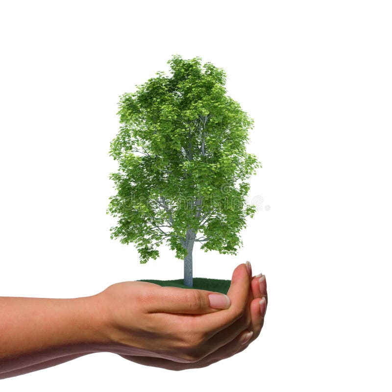 Hand holding a tree stock illustration. Illustration of nature - 35350150