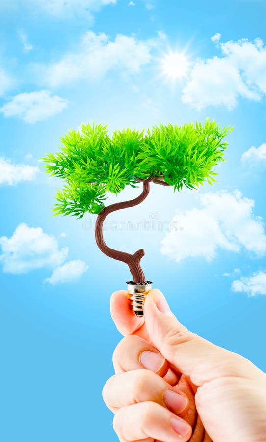 Hand Holding Tree Growing on Light Bulb with Light Blue Sky with Stock ...