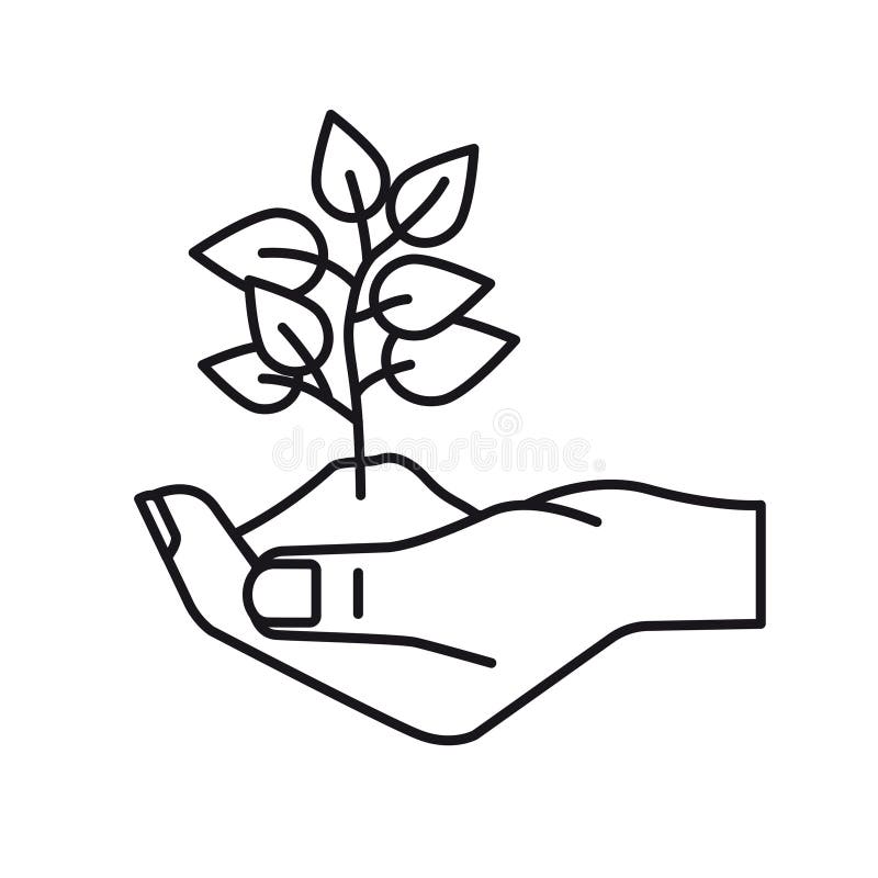 Hand Holding Tree Seedling Vector Line Icon Stock Vector - Illustration ...