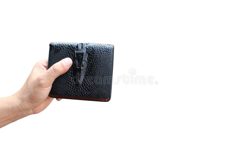 Hand holding wallet stock image. Image of success, closeup - 83754523
