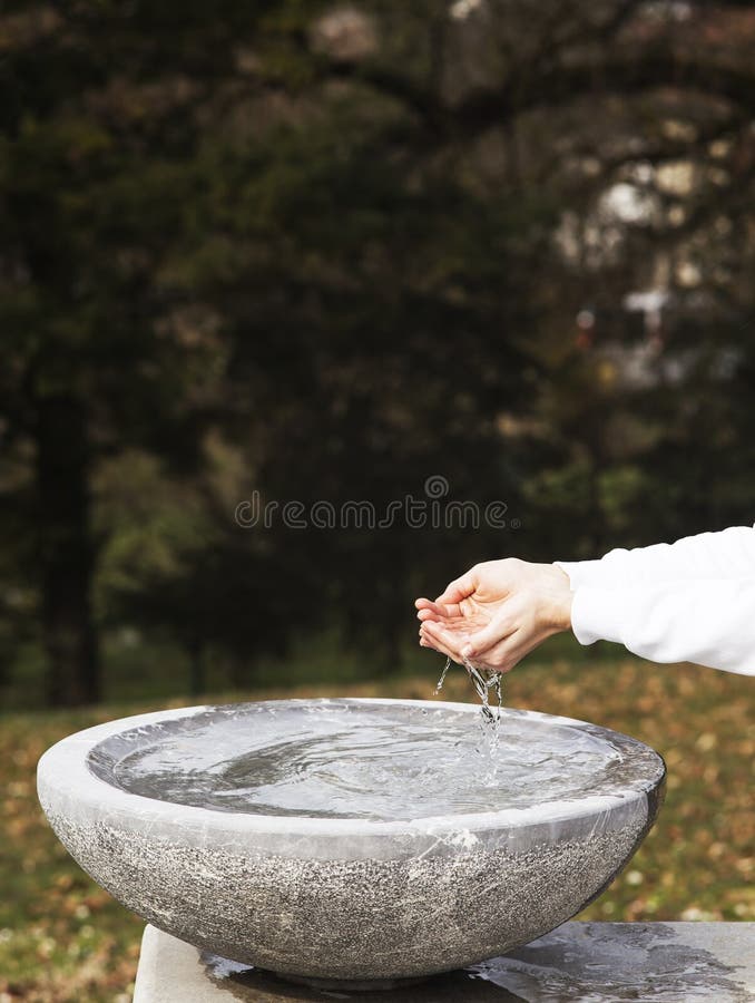 Hand holding water stock photo. Image of holding, human - 50904650