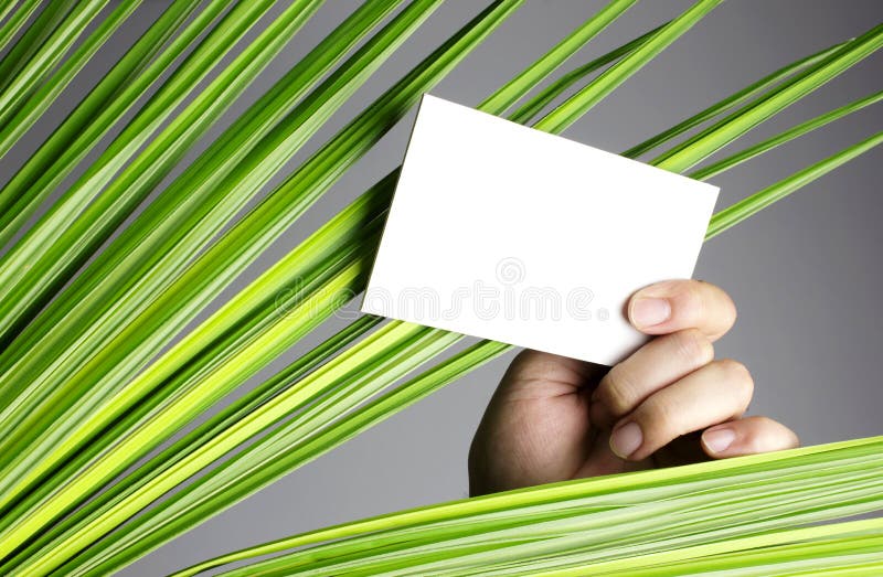 Hand holding white card stock image. Image of hand, curve - 86141163