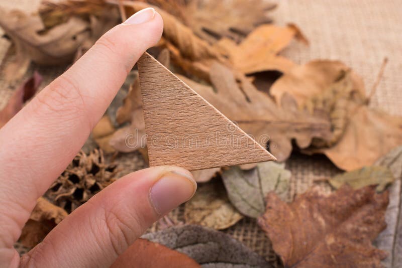 Hand Holding Wooden Triangle Over Leaves Stock Illustration ...