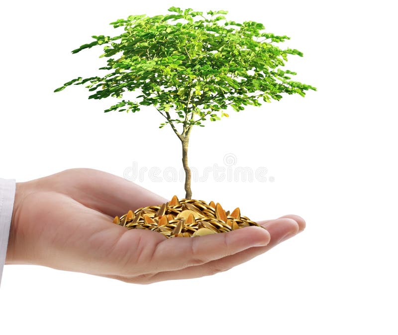 Hand Holding a Young Tree Growing on Coins Stock Photo - Image of green ...