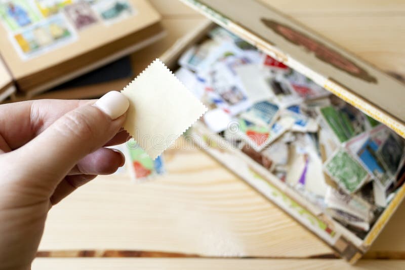 Hand Holds a Blank Postage Stamp Stock Photo - Image of mark, blank ...