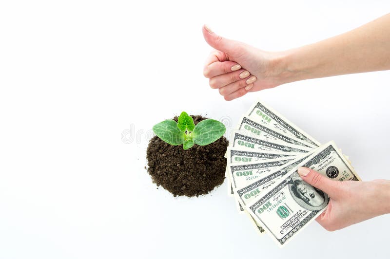 The Hand Holds Dollars, and the Sprout Stock Image - Image of dollars ...