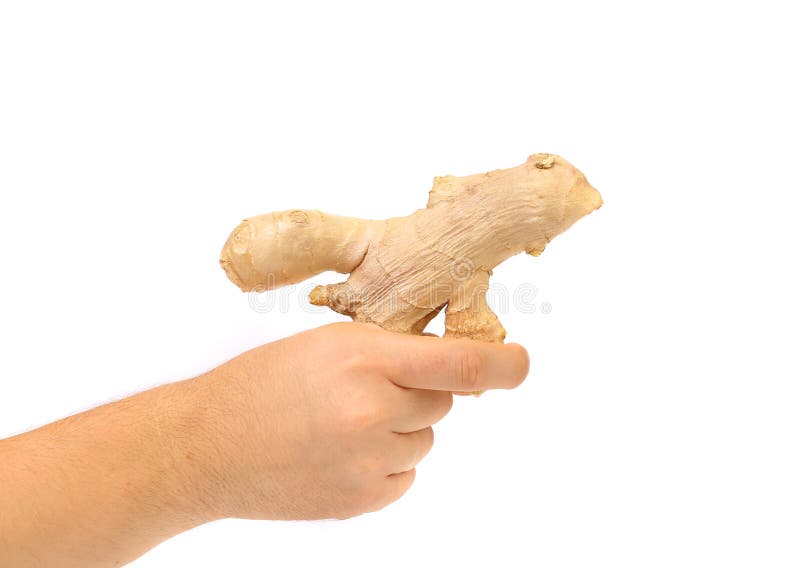 Hand Holds Ginger Root As Gan. Stock Image - Image of gourmet, root ...