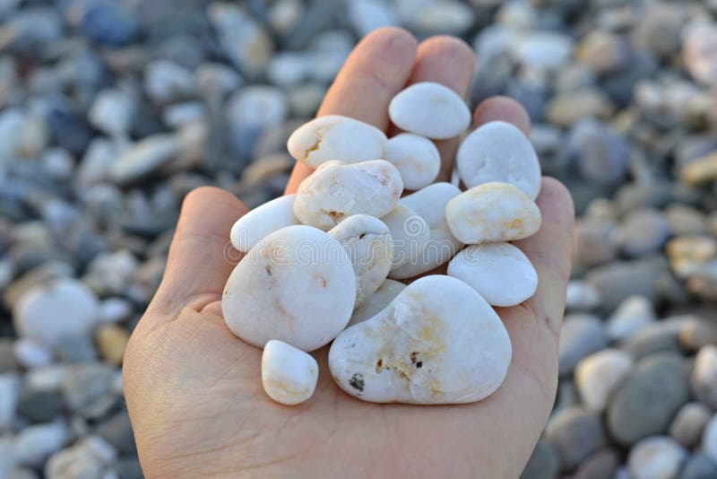 Hand Holds a Handful of Stones Sea Stock Image - Image of human, ocean ...