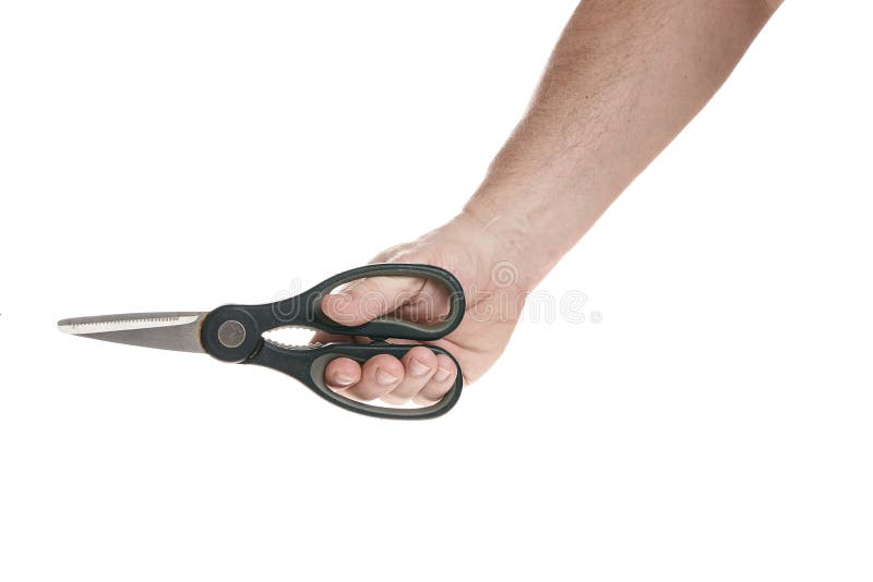 Hand Holds Kitchen Scissors on a White Background Stock Photo - Image ...