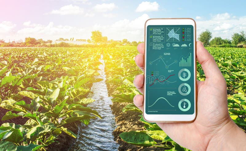 Hand Holds Mobile Phone with Crop Status Analysis Infographics. Quality ...