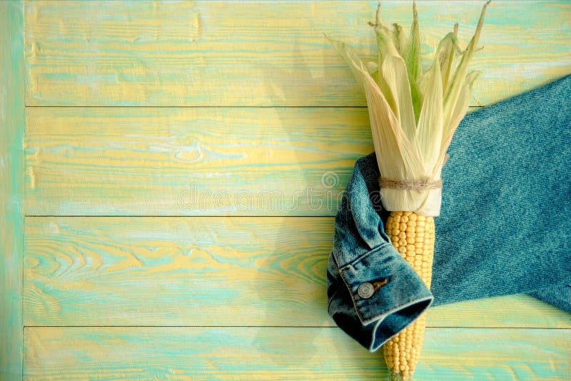 Hand Hugs a Bouquet of Corn Cobs, Denim Jacket, Top View. Stock Image ...