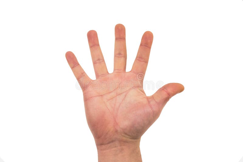Hand stock photo. Image of human, gesturing, holding - 50193596