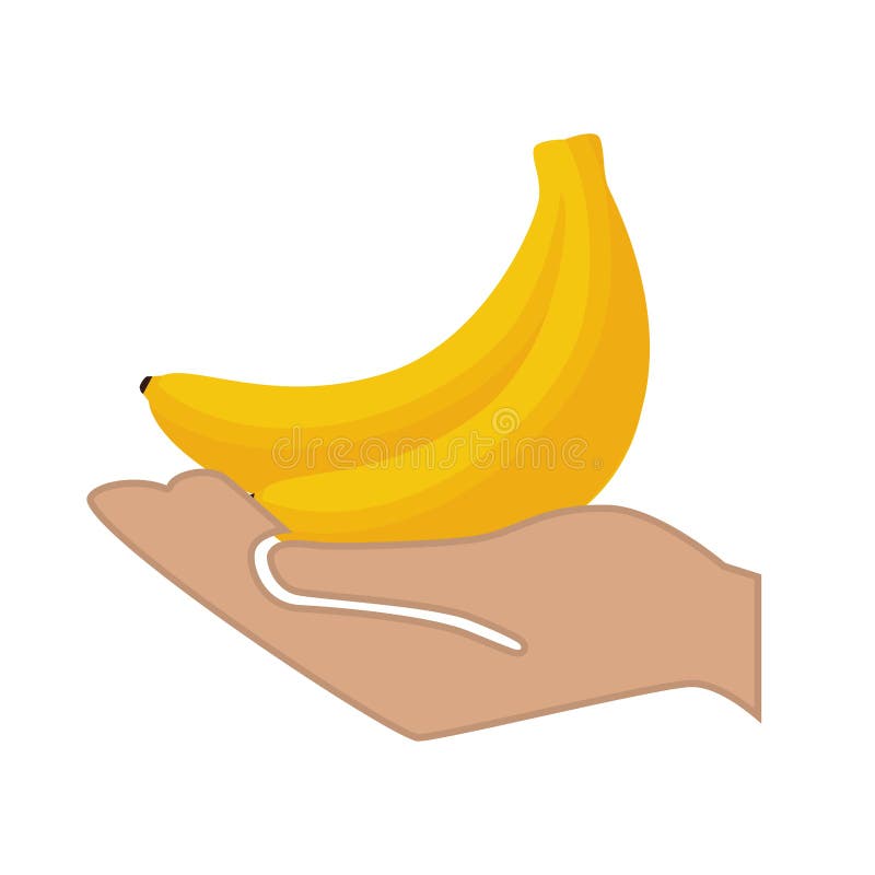 Hand Human with Fresh Fruit Isolated Icon Stock Illustration ...