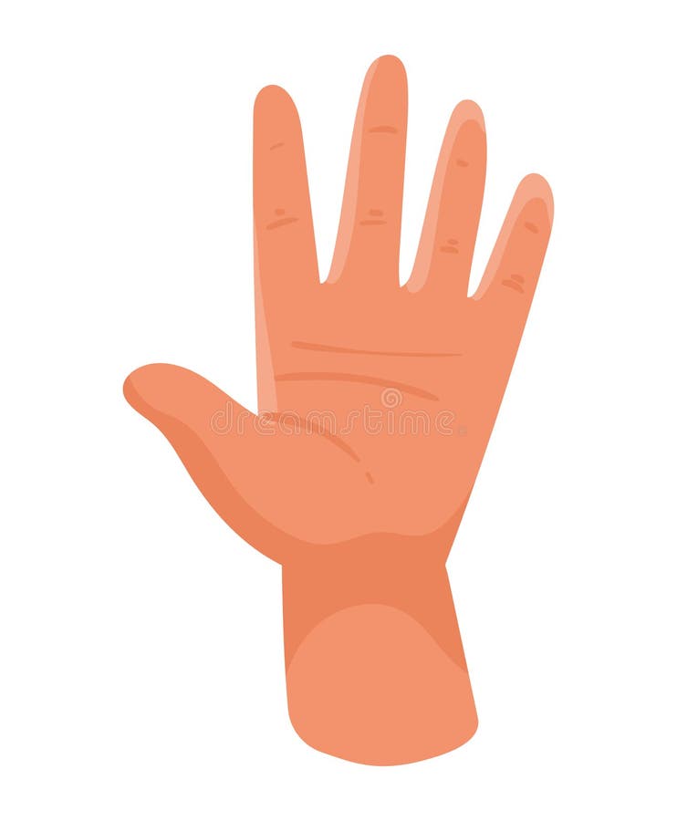 Hand human open up stock vector. Illustration of human - 251327395