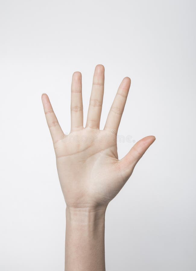 Hand stock photo. Image of finger, career, commerce, upward - 59286984