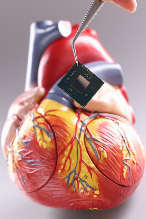 Cpu Microchip Processor with Thermal Paste Closeup Stock Photo - Image ...