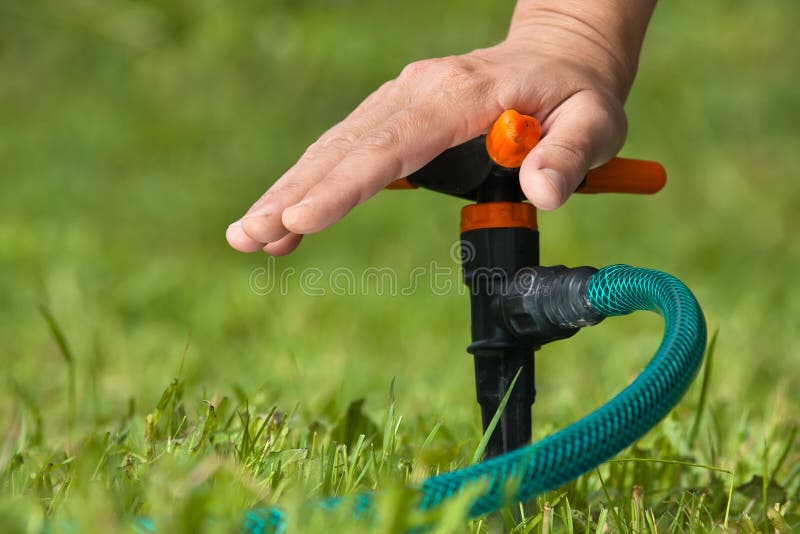Hand Installing Sprinkler for Irrigation of Lawn Stock Photo - Image of ...