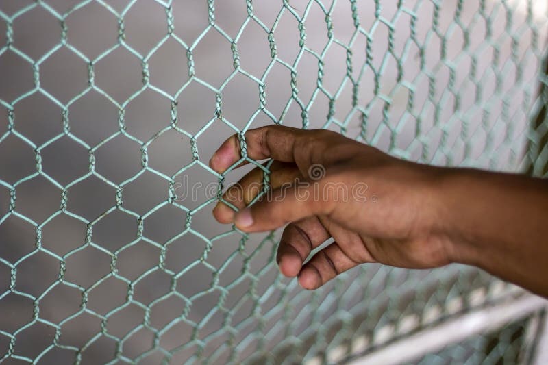 7,750 Wire Fence Material Sketchup Stock Photos - Free & Royalty-Free ...