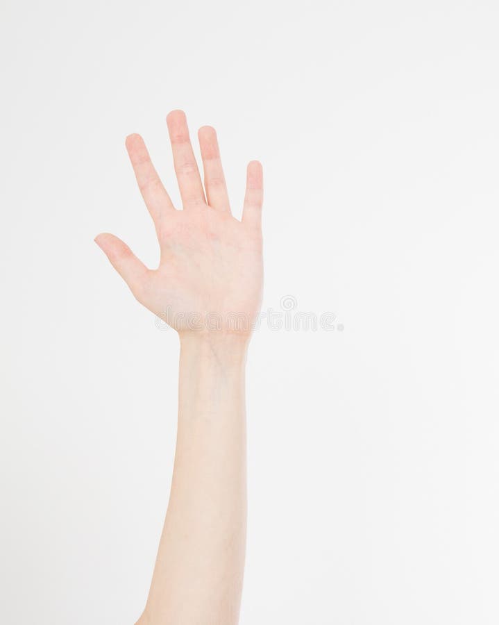 Hand Isolated on White.Voting Hand. Mock Up. Copy Space. Template ...