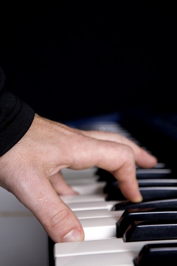Hand on keyboard stock image. Image of computer, technology - 185467