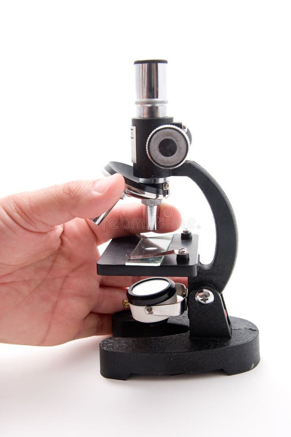 Hand On The Lab Picture. Image: 6224264