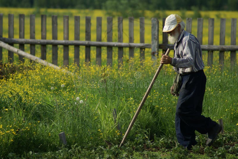 Hand labour stock photo. Image of farmer, bread, food - 11496178