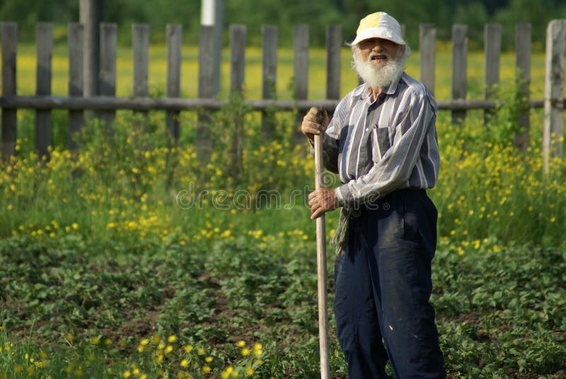 Hand labour stock photo. Image of harvest, food, bread - 11496180