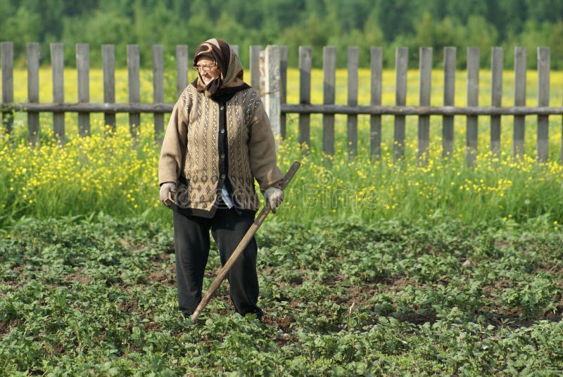 Hand labour stock photo. Image of development, grandfather - 11496216