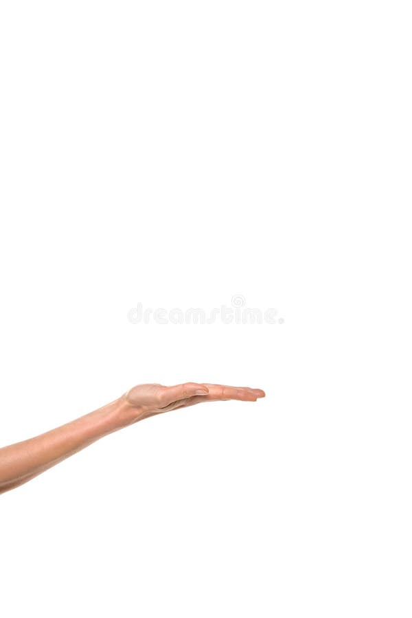 Flat human open palm stock photo. Image of holding, closeup - 209386022