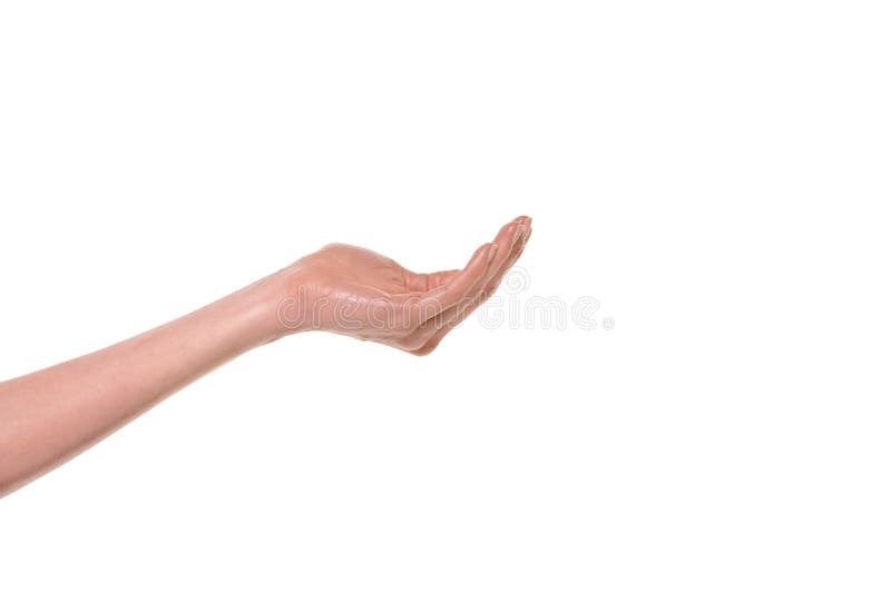 Hand Language - Open Hands Presenting Anything Stock Image - Image of ...