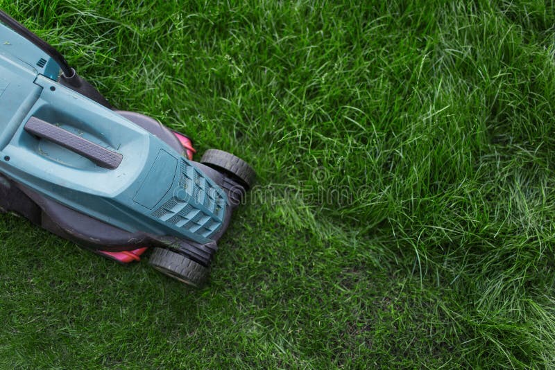 Hand Lawn Mower Mows the Green Lawn in the Courtyard. Top View Stock ...