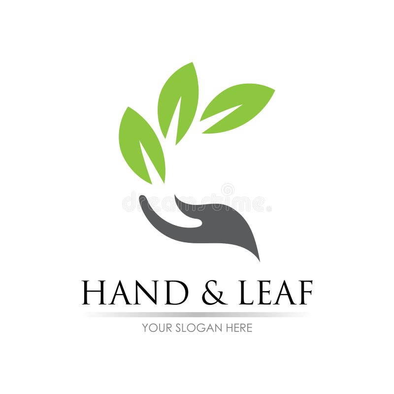 Hand and Leaf Logo Vector Illustration Design Template Stock Vector ...