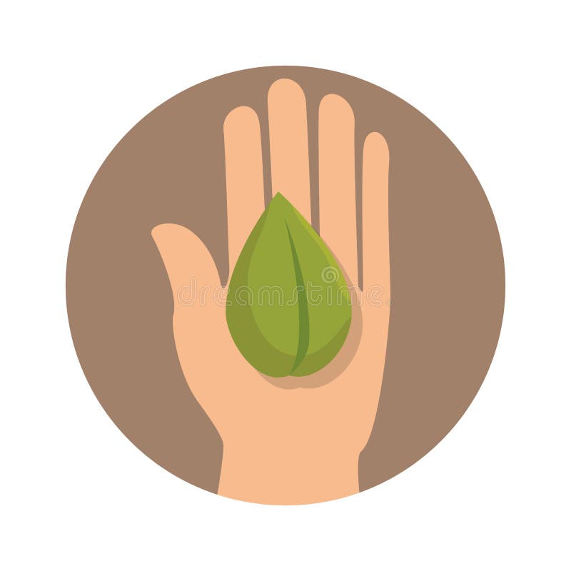 Hand with leaf plant stock illustration. Illustration of sign - 84377181