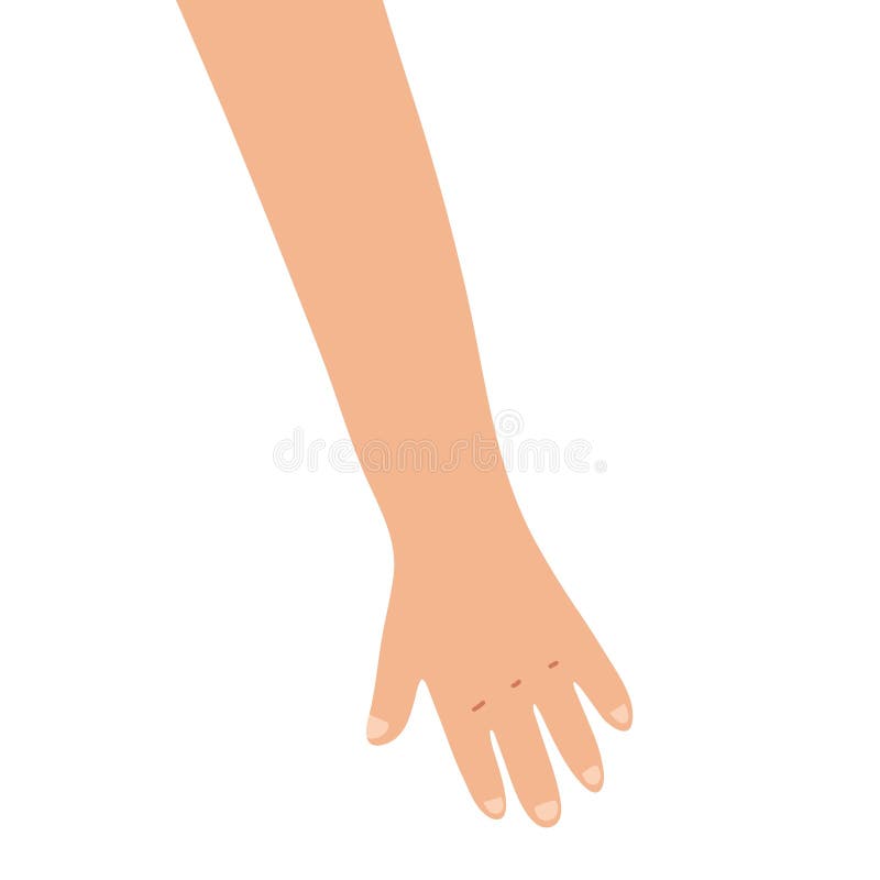 Human Left Hand Isolated on White Background in Cartoon Style. Learning ...
