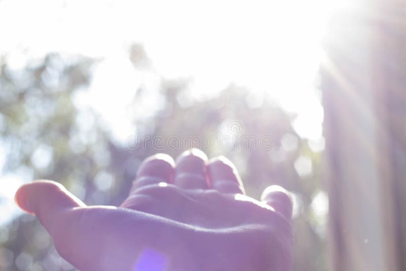 Hand in Light Against the Sun`s Rays Stock Photo - Image of fingers ...
