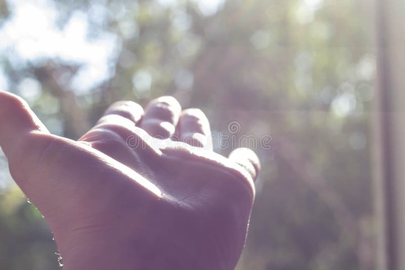 Hand in Light Against the Sun`s Rays Stock Photo - Image of rays, light ...
