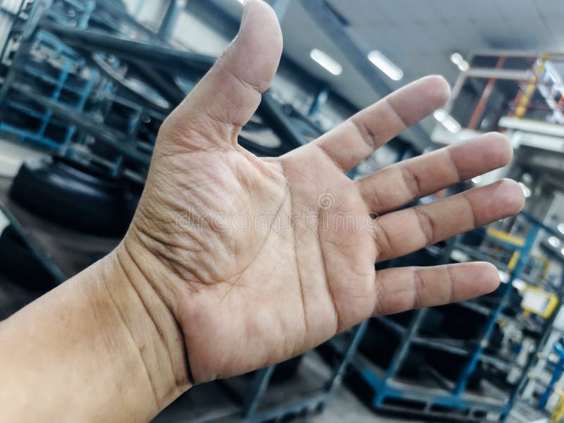 Hand lines on the palm stock photo. Image of muscle - 393126300