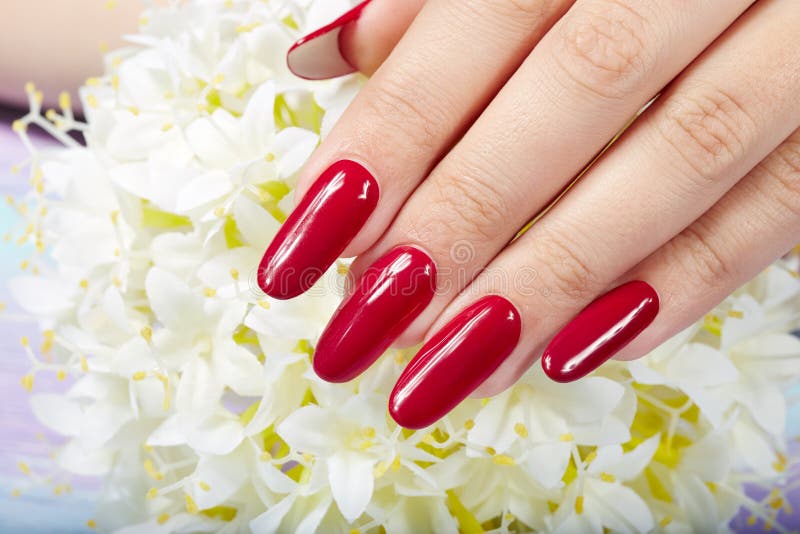 Hand with Long Artificial Manicured Nails Colored with Red Nail Polish ...